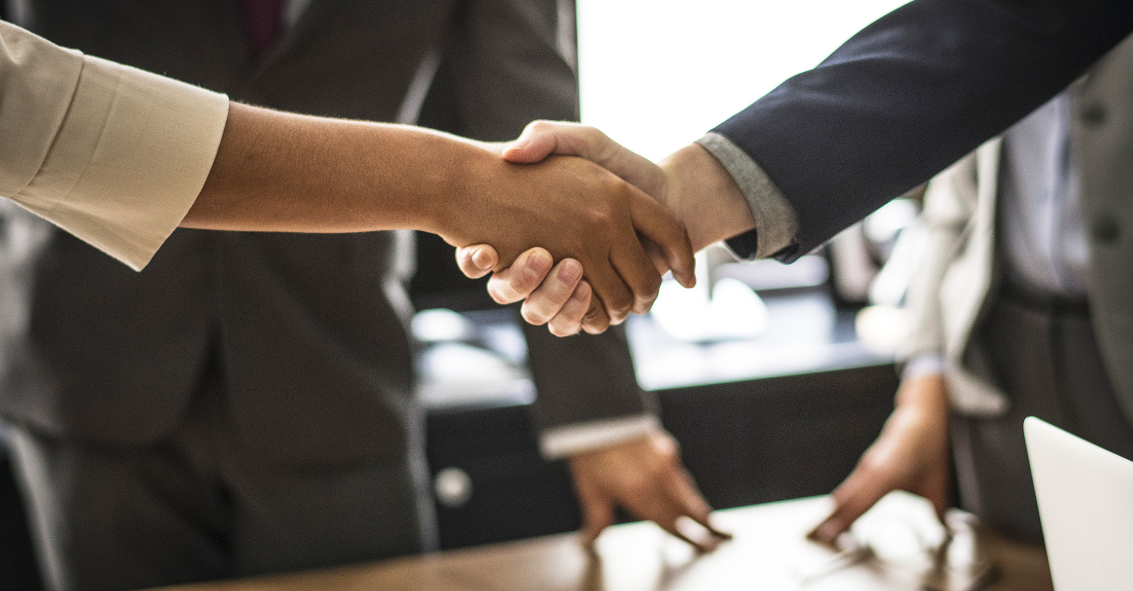 Startseite | BDVM e.V.